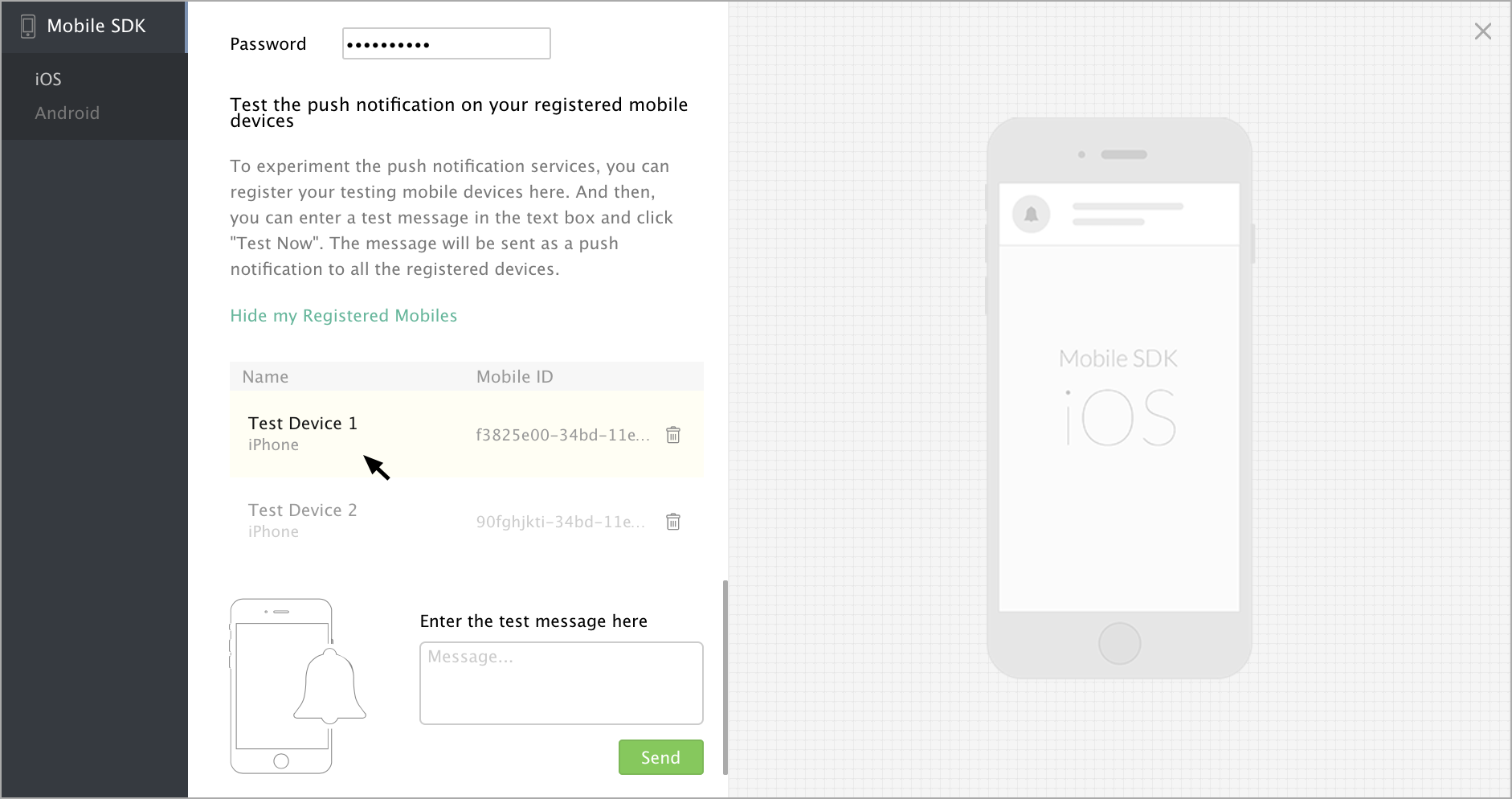 Push Notifications - iOS