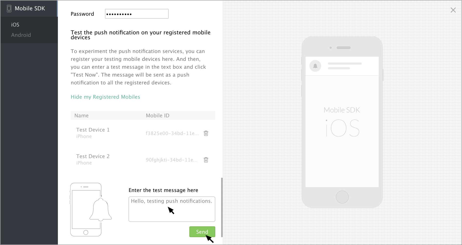 Push Notifications - iOS