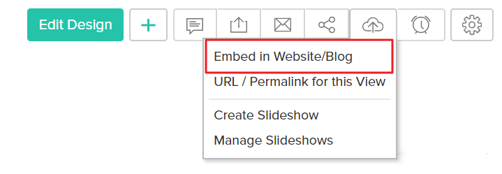 Publishing options - Analytics Plus