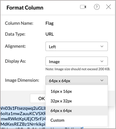 Display Images in Charts l Zoho Analytics Help