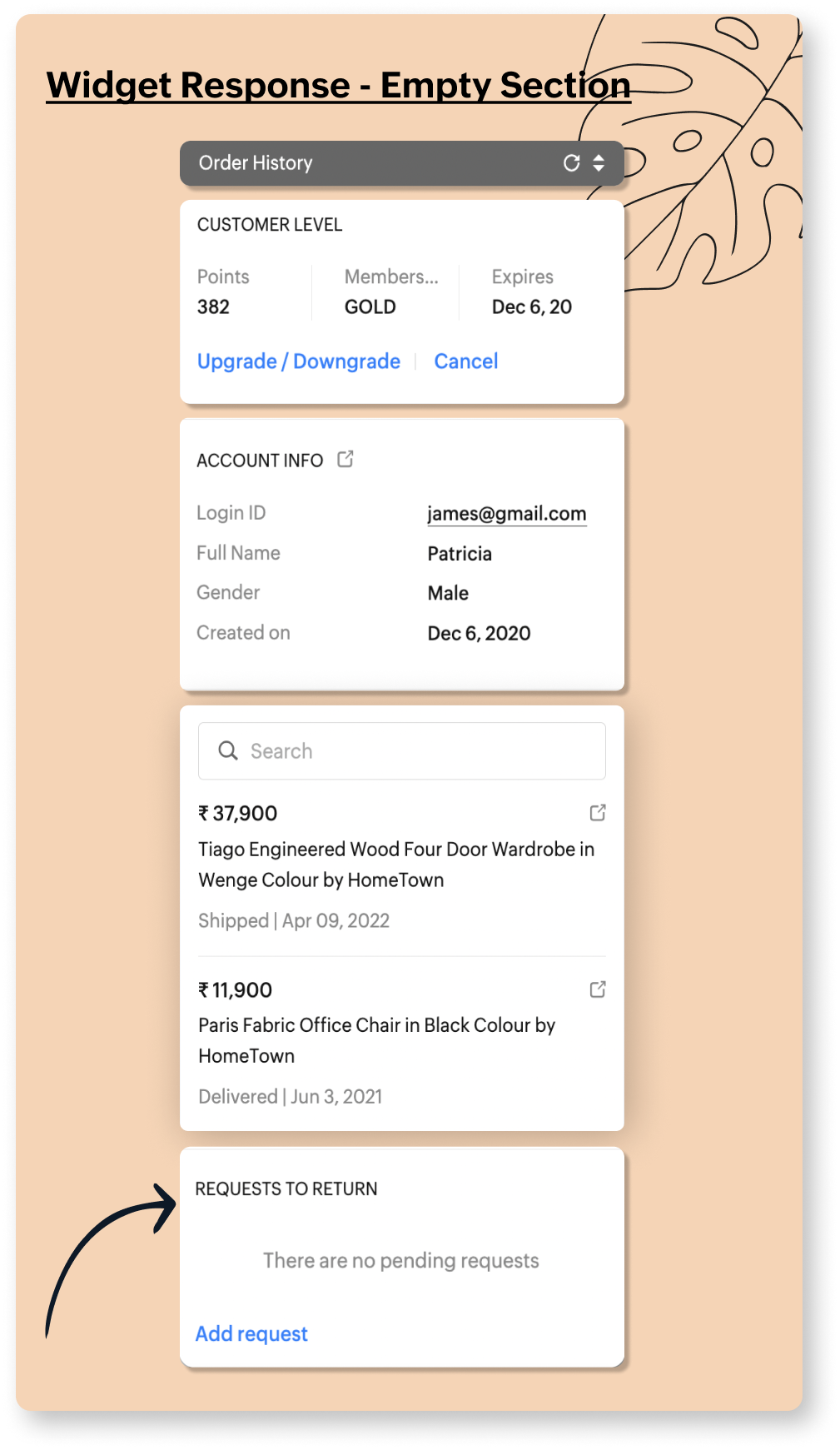 Widgets Sections | Empty Section - SalesIQ Scripts