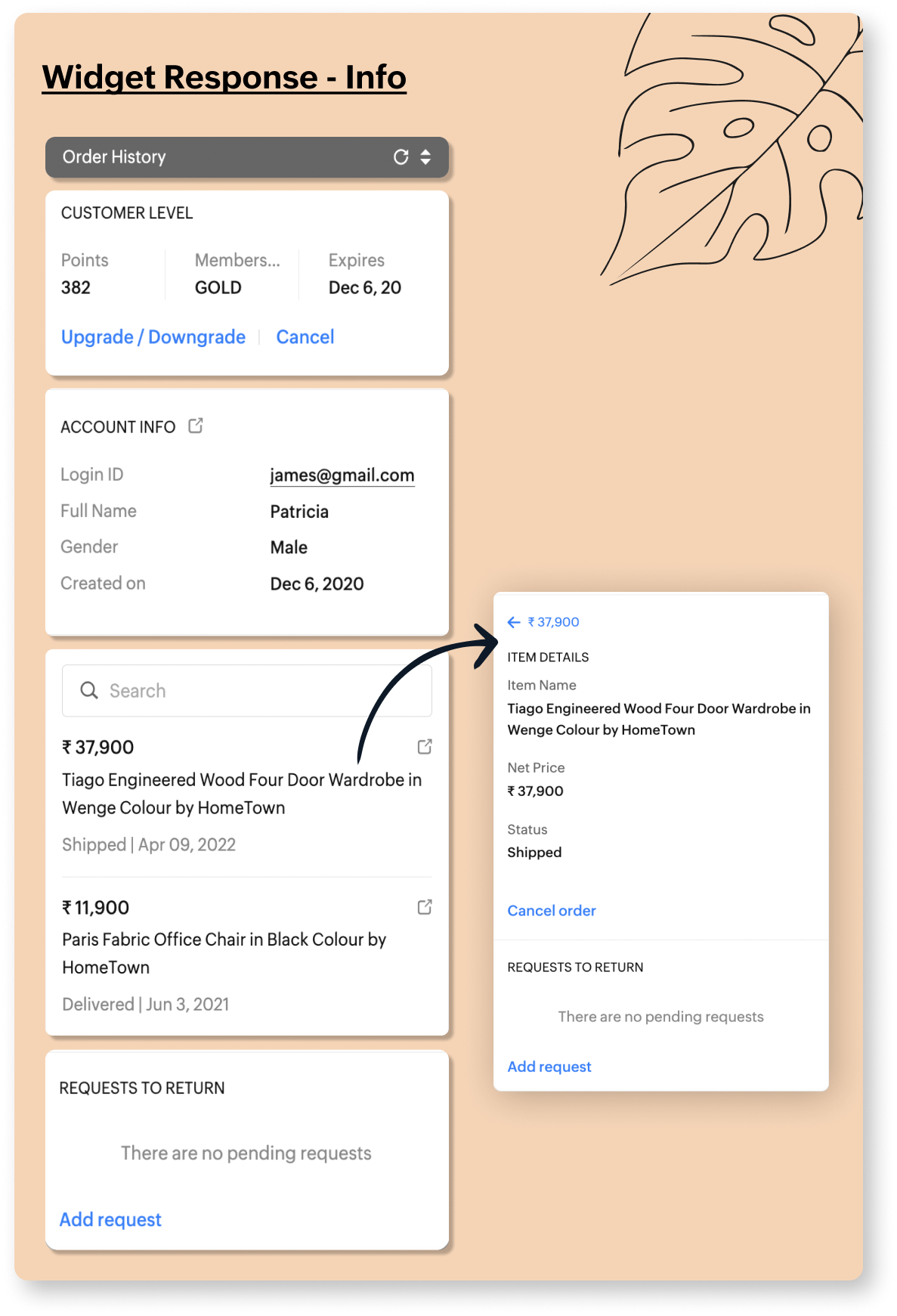 Widget Sections | Info - Webhooks