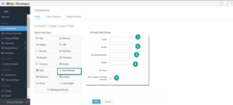 Custom Field Types | Online Help - Bigin