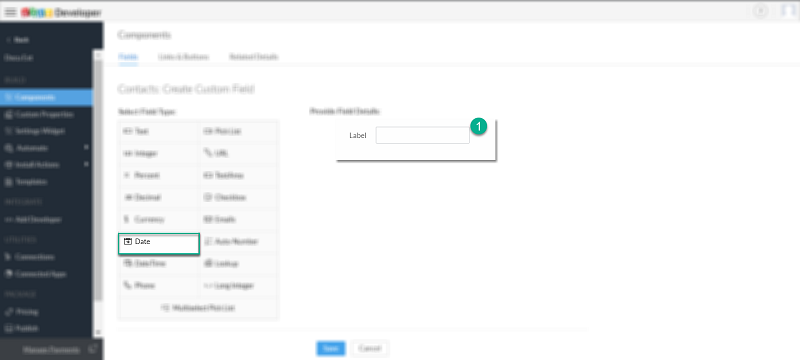 Custom Field Types | Online Help - Bigin