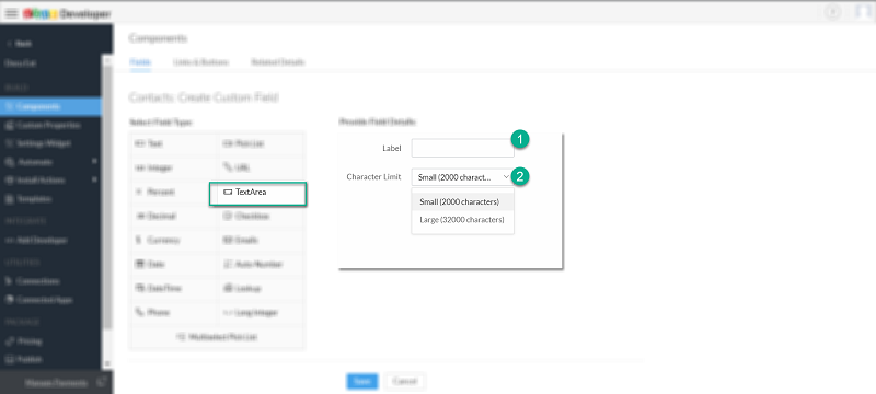 Custom Field Types | Online Help - Bigin