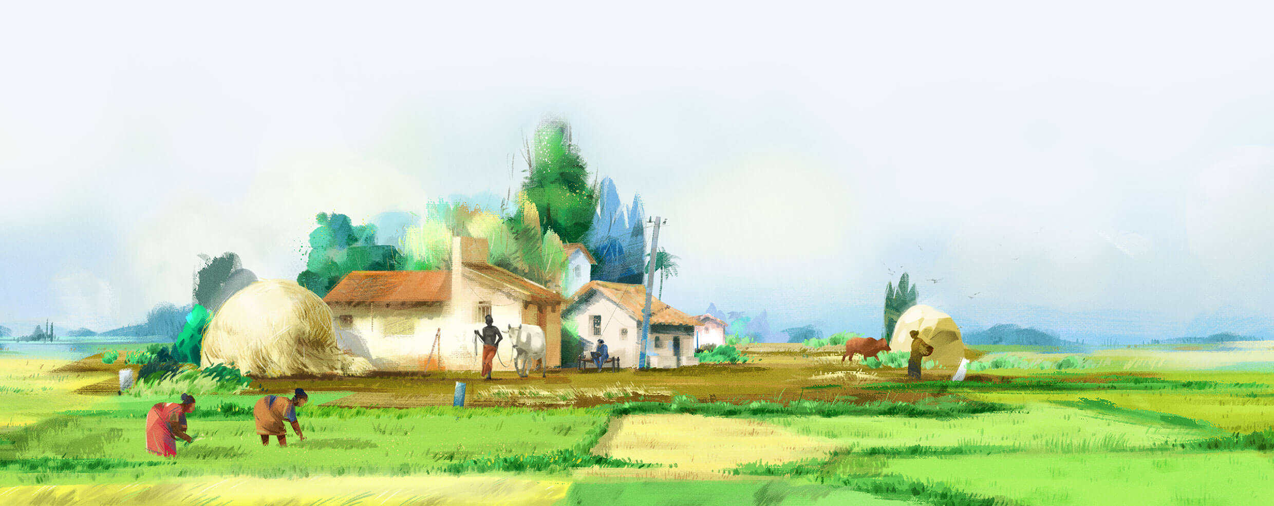 Rural Revival | Zoho